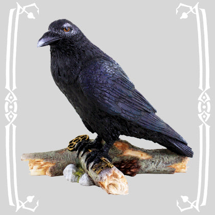 Pagan Collection - DragonSpace Gift Shop