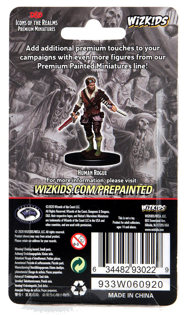 Human Rogue Male (Painted) - DragonSpace Gift Shop